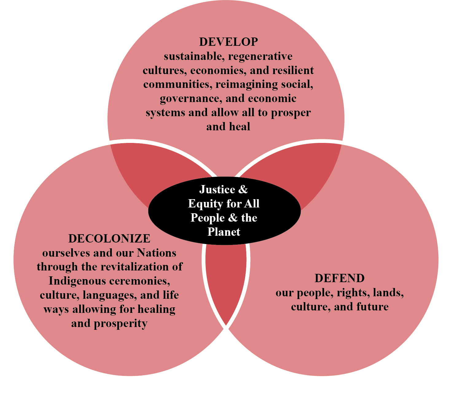 Community Development & Social Enterprise - NDN COLLECTIVE