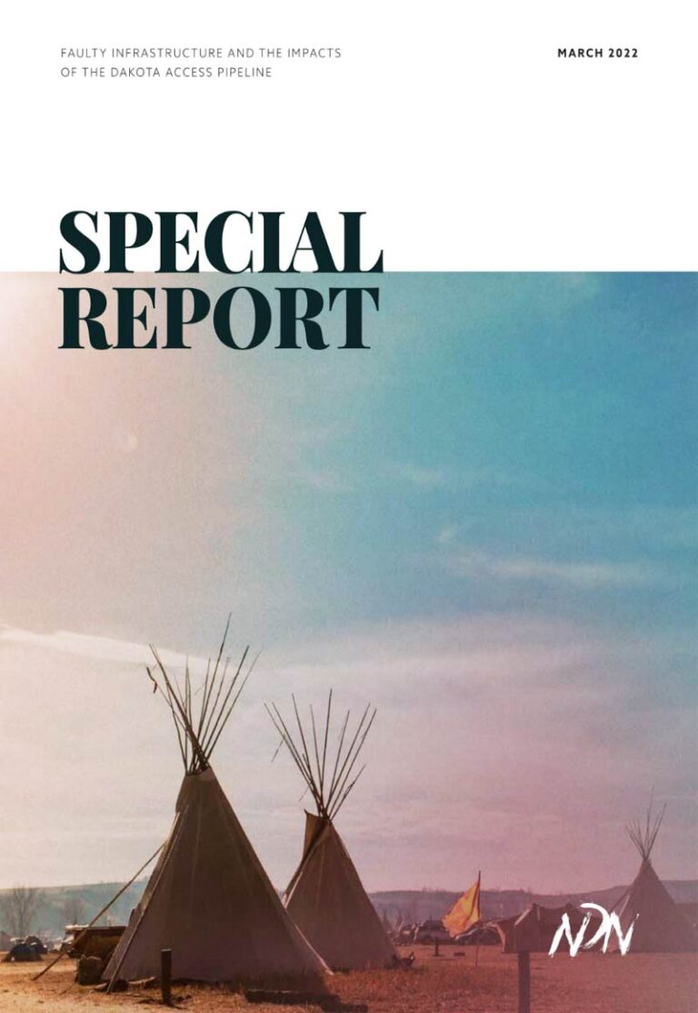 DAPL REPORT - NDN COLLECTIVE