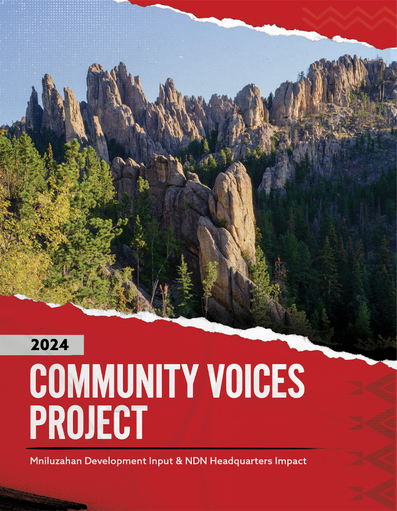 2024 COMMUNITY VOICES PROJECT - NDN COLLECTIVE