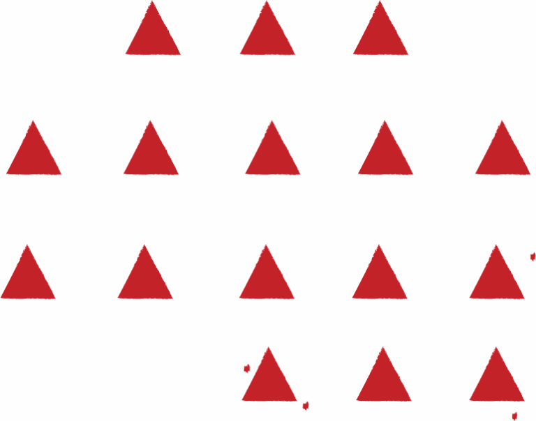 Bringing Him Home: NDN Collective’s Historic and Ongoing Support of ...