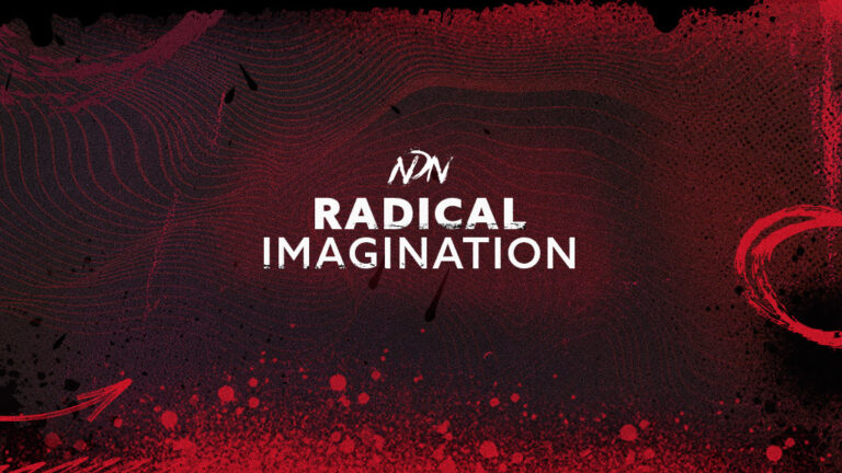 RADICAL IMAGINATION - NDN COLLECTIVE