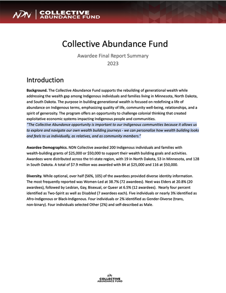 COLLECTIVE ABUNDANCE FUND - NDN COLLECTIVE